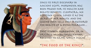 » Food of the Kings